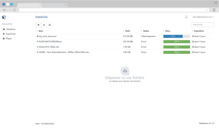 Number 1 in Seedbox hosting in France - Sdedi